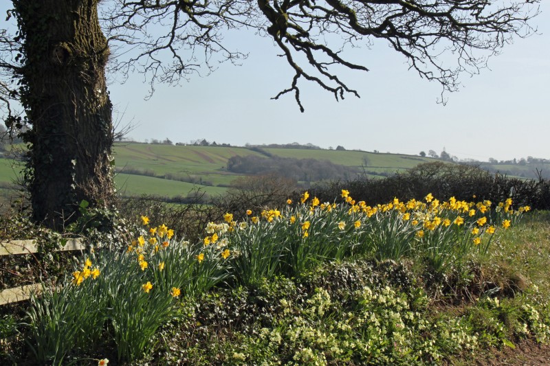 Gallery | Red Doors Farm